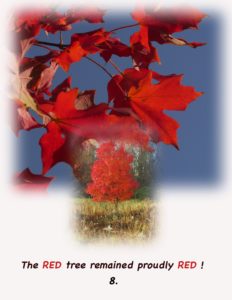 The Red Tree – A new children's nature picture book!